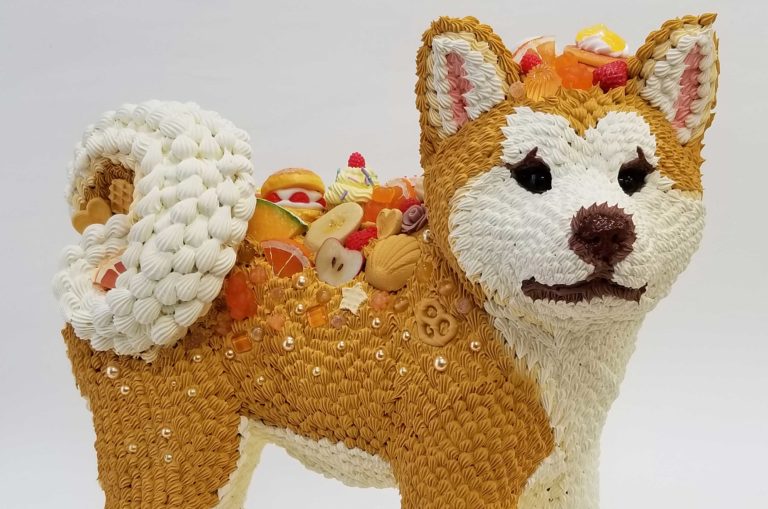 Sweet Fluffy Akita Dogs are Exhibited at the Sweet Deco Art Exhibition ...