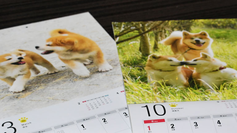 Full of Adorable Expressions – Calendar of Yoko Sakamaki’s Akita Dogs ...