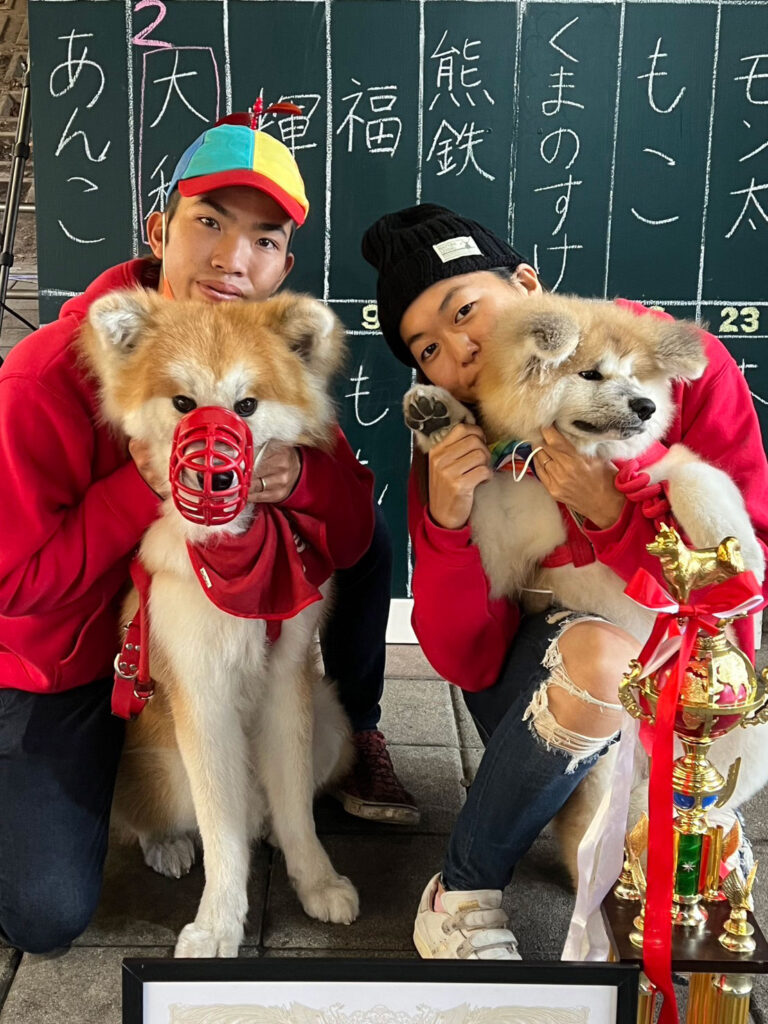 Attractive Long – Haired Akita Dogs in One Place: Wasao Grand Prize ...