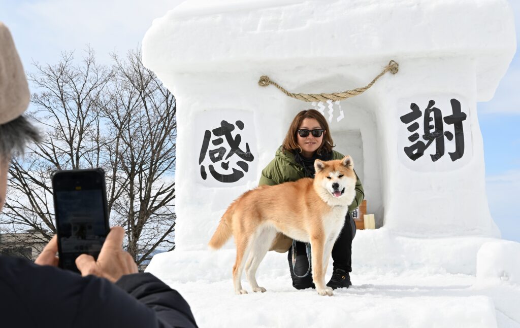 Yuzawa City’s “Inukko Festival” – Adorable Figures Color the Snowy ...
